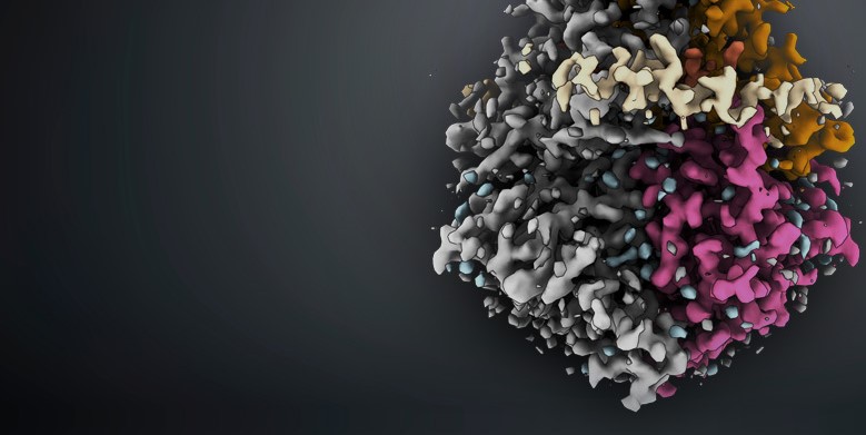 Thermo Fisher Scientific: custom chip for electron microscopy | IC-Link ...
